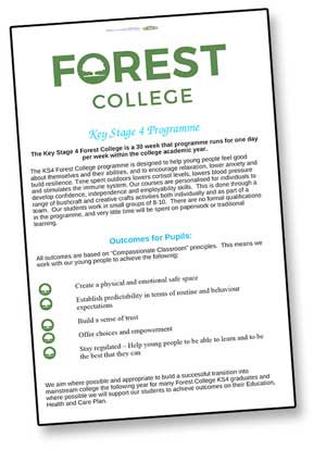 Forest College Key Stage 4 information - Axia ASD